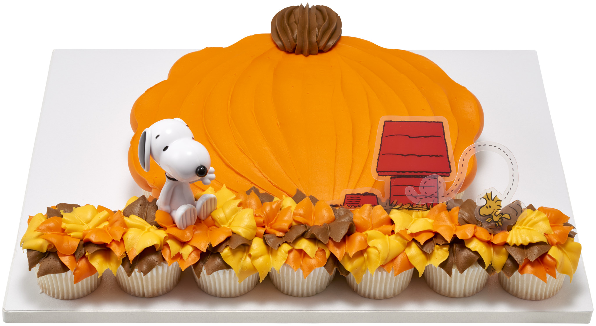 New Products Page 1 of 9 | DecoPac