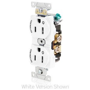 Leviton 5262-S2R Straight Blade Receptacle, Nylon, 2-Outlet, Duplex, 2 ...