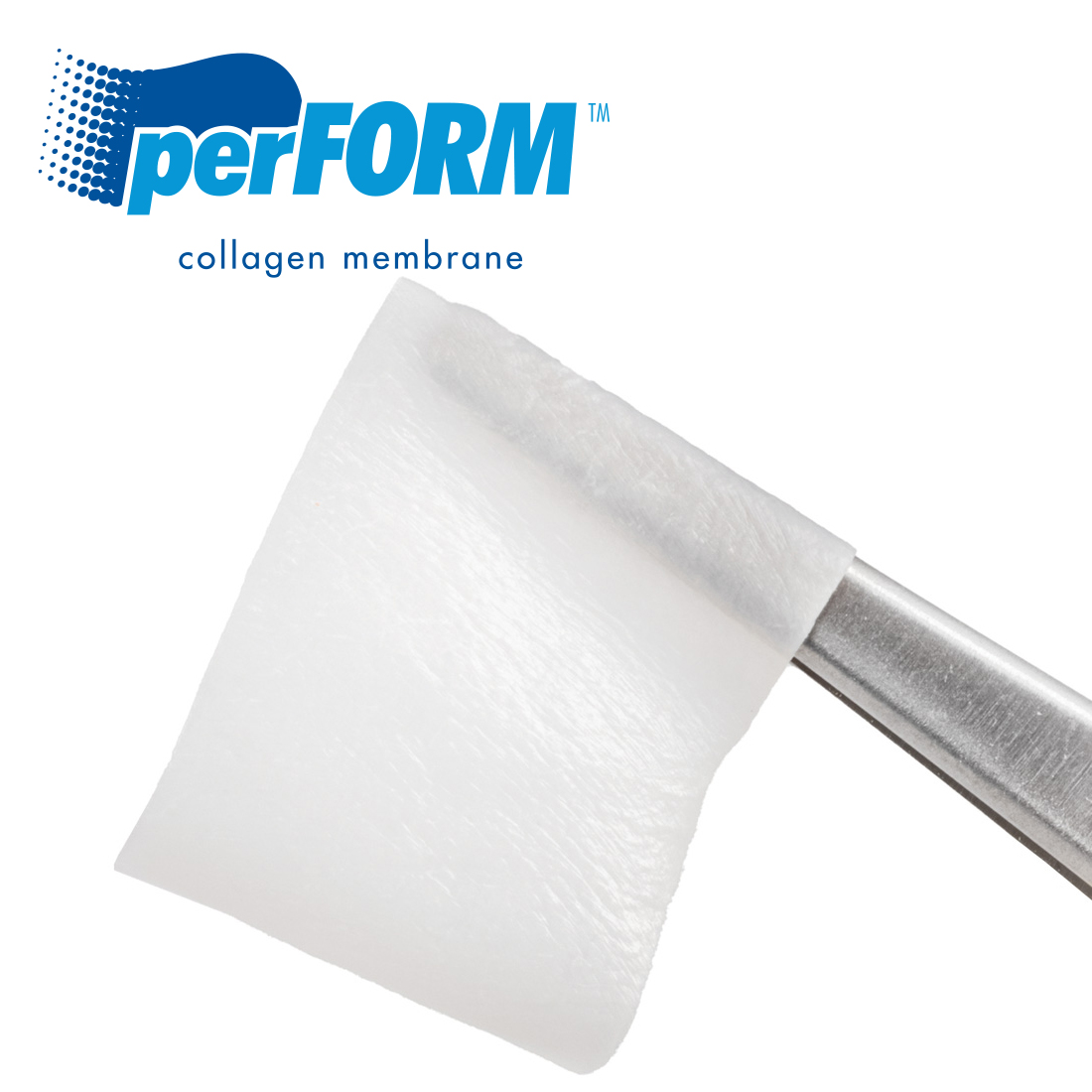 perFORM® Collagen Membrane - 20x30mm | ACE SOUTHERN