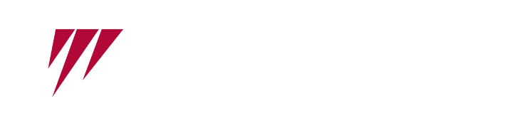 Engine Parts– Briggs & Stratton Online Store