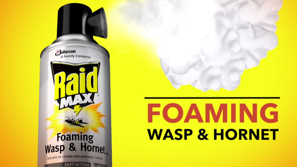 Raid Max Foaming Wasp & Hornet Killer, 13 oz - Walmart.com