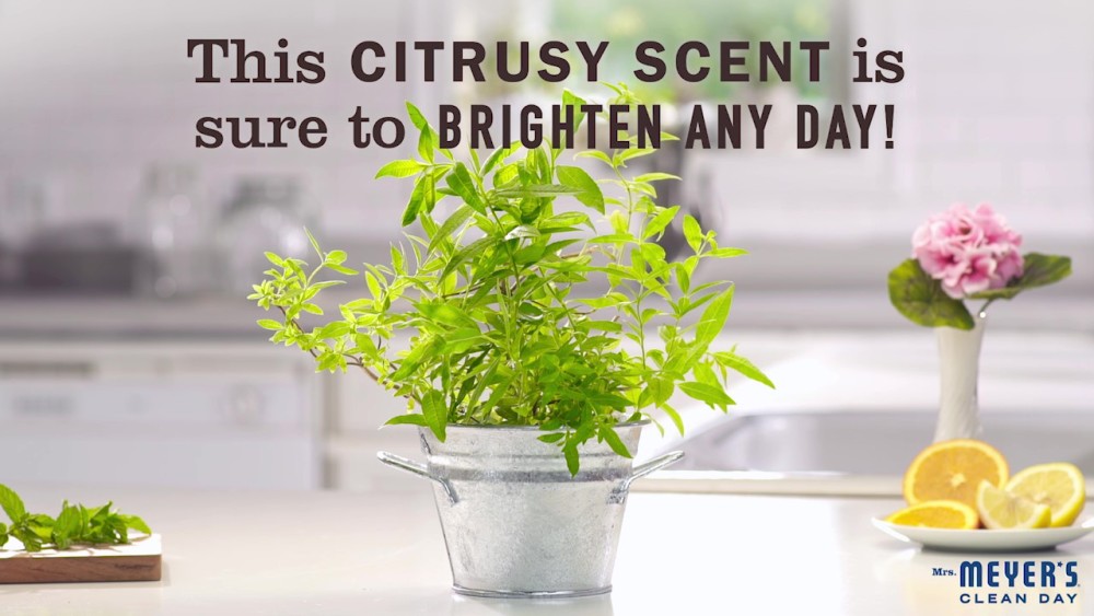 Mrs. Meyer's Clean Day Scented Soy Candle, Large, Lemon Verbena Scent ...