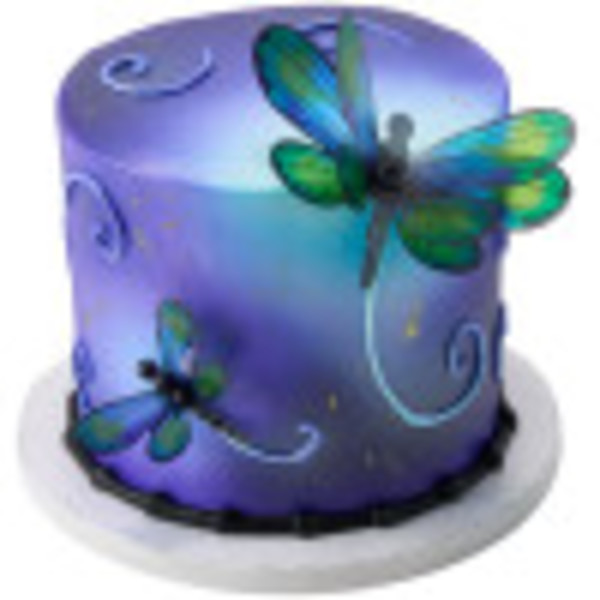 Dragonfly And Butterfly Layon | DecoPac