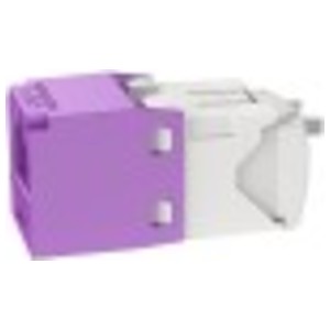 Panduit CJ688TGVL Mini-Com® TX6™ PLUS TG Style UTP Jack Module, Violet ...