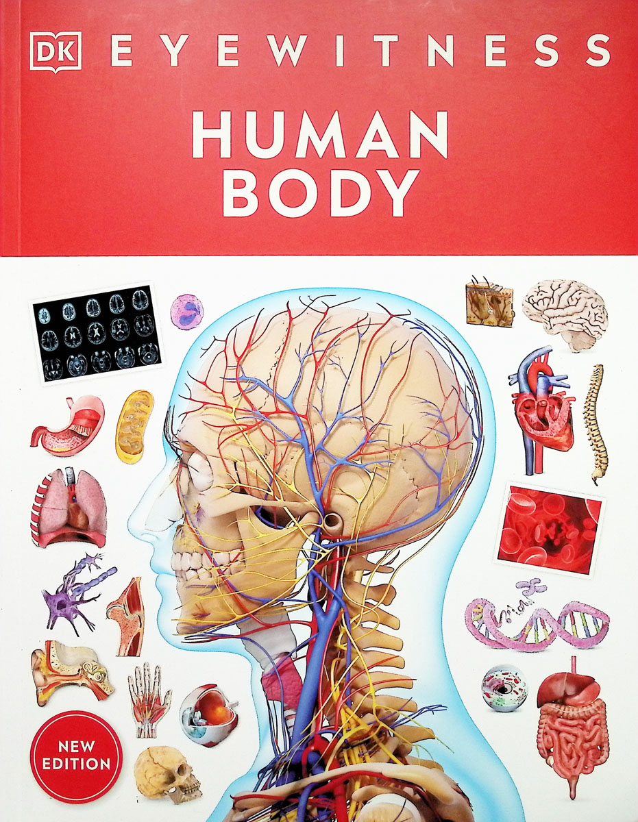 Human Body (Eyewitness Book)