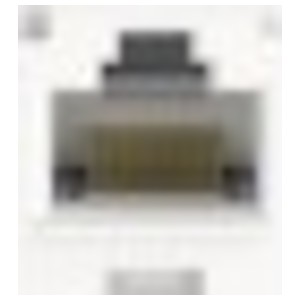 Panduit CJ6X88TGAW-24 Mini-Com® UTP RJ45 Cat 6A TG Jack Module, Arctic ...