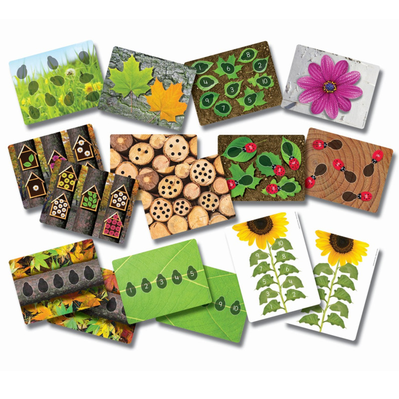 Yellow Door Ladybugs Early Number Card, Pack of 16 - Zuma