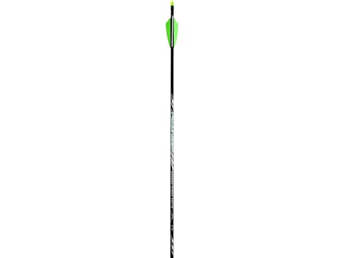 Black Eagle 15/64" Factory Fletched Arrow Deep Impact 2.5" Shield Cut 6 ...