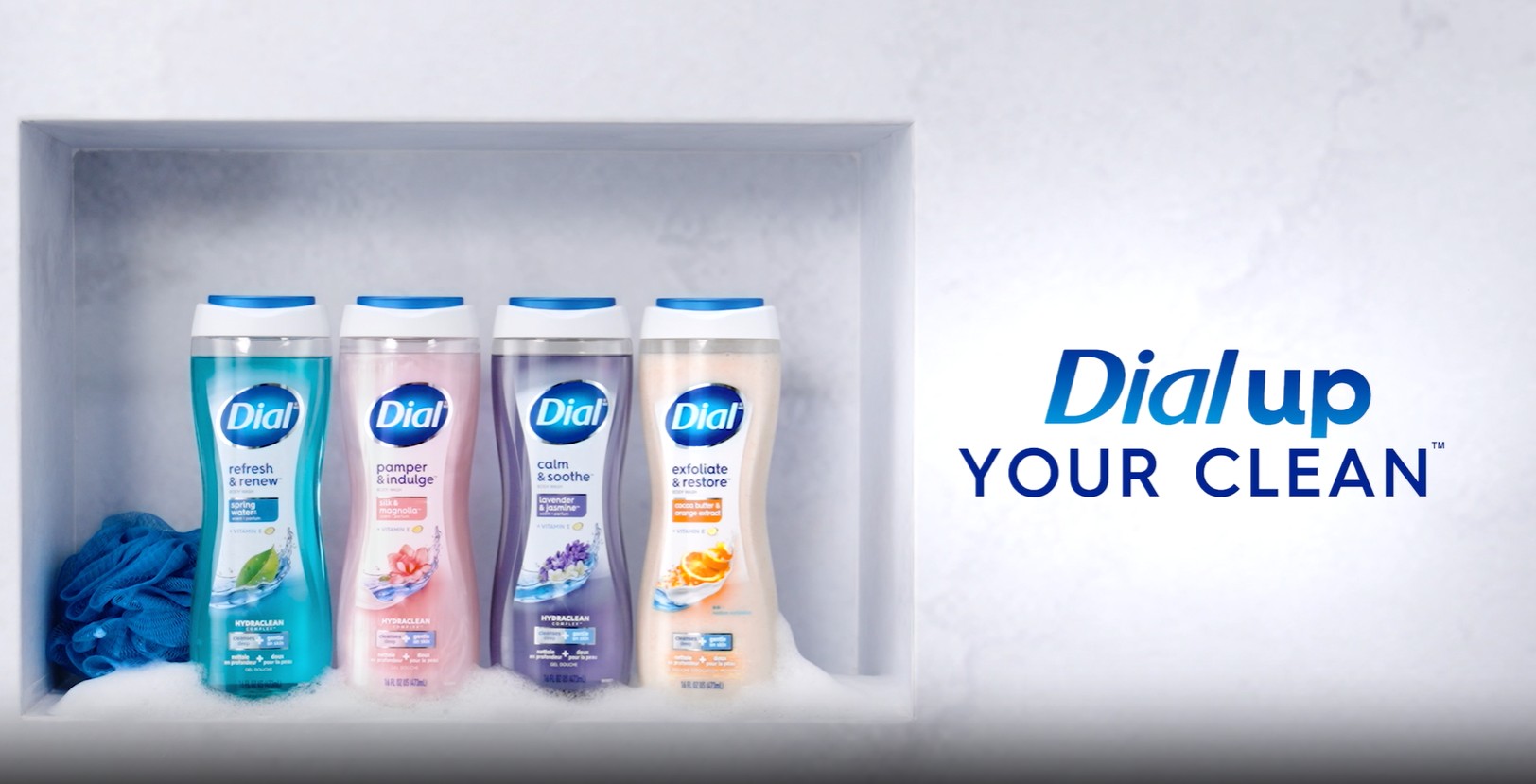 Dial Healthy Fresh Body Wash, Liquid Shower Gel, Refresh & Renew Spring ...