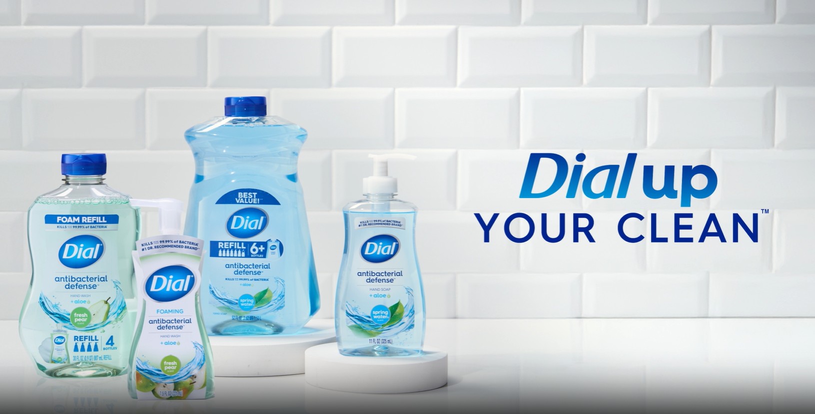 (6 pack) Dial Antibacterial Defense Coconut Water Scent Foaming Hand ...