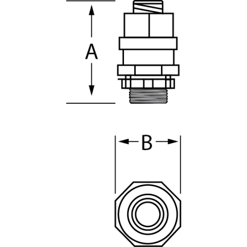 Stainless Steel Straight Flex Connectors