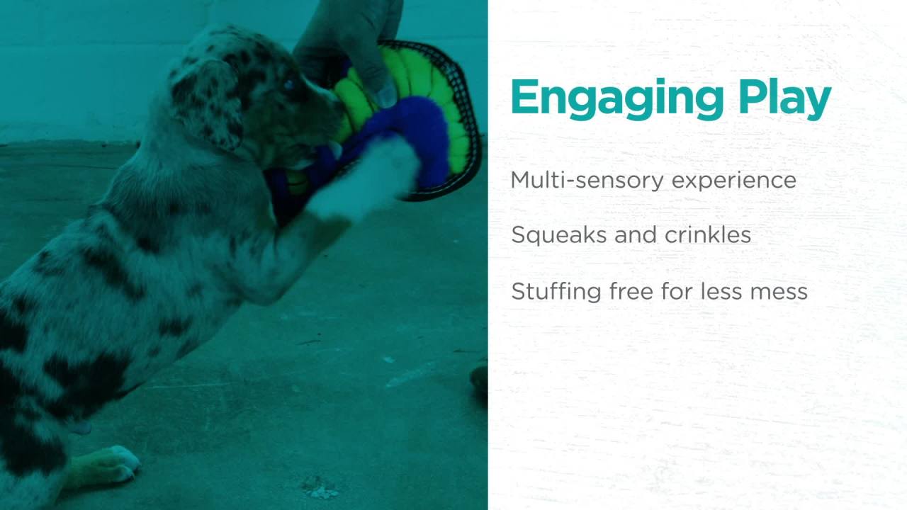 Outward Hound Invincibles Tough Seamz Gorilla Dog Toy, Orange, Small ...