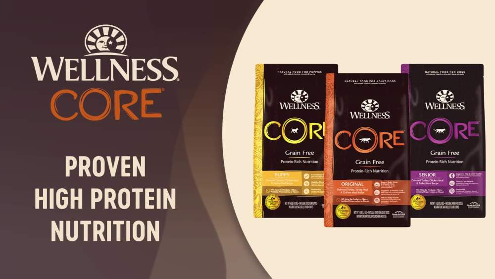 Wellness CORE Natural Grain Free Dry Dog Food, Original Turkey ...