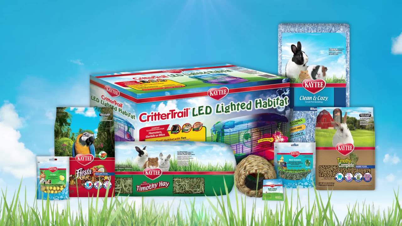 Kaytee Timothy Wafer Cut Hay for Rabbits, Guinea Pigs, Rats - High ...