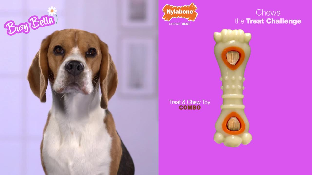Nylabone Power Chew Durable Dry Dog Chew Toy, Original Flavor, Medium ...