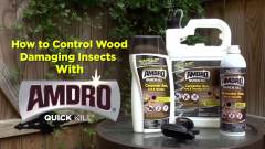 Amdro Quick Kill Carpenter Bee, Carpenter Ant & Termite Killer Foam; 18 ...