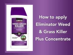 Eliminator Weed & Grass Killer II Super Concentrate Herbicide, 32 oz ...
