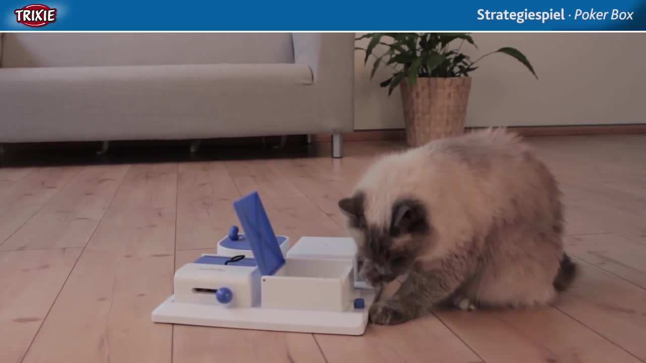 TRIXIE Kitty Enrichment Poker Box Game, Interactive Puzzle & Treat ...