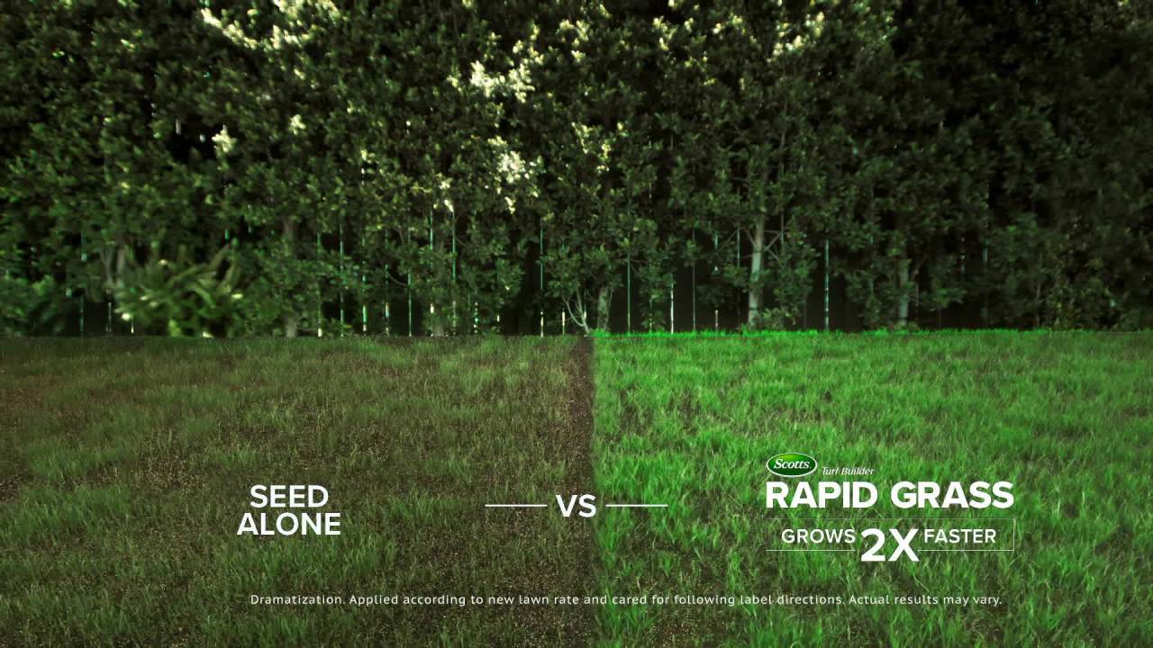 Scotts Turf Builder Rapid Grass Bermudagrass, Grass Seed and Fertilizer ...