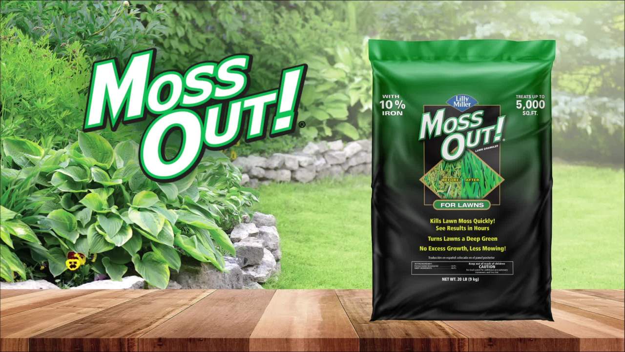Lilly Miller Moss Out for Lawns with 10% Iron, Moss and Weed Killer, 20 ...