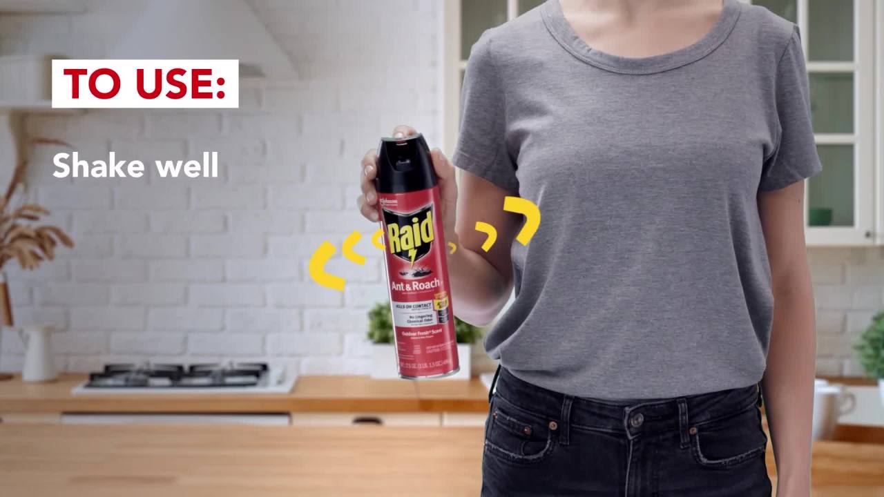 Raid Ant & Roach Killer Spray, Lemon Scented Insecticide Aerosol, 17 ...