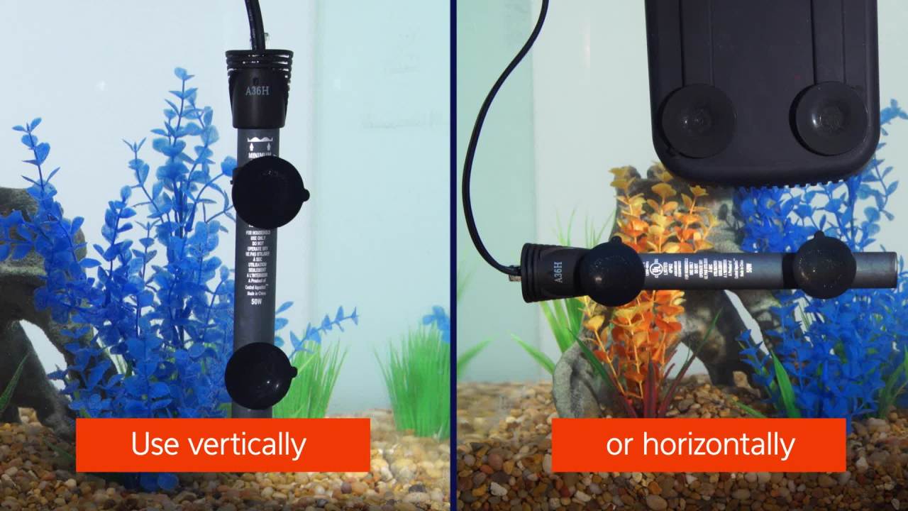 Aqueon Adjustable PRO Aquarium Heater Up to 75 Gallons, 200 Watts ...