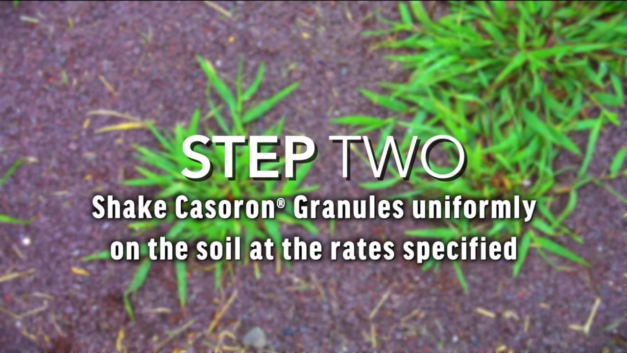 IMAGE Casoron Granular Grass & Weed Preventer, Ready-to-Use, 8 lb Bag ...