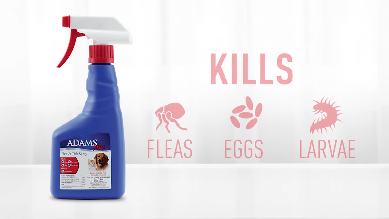 Adams Plus Flea & Tick Spray for Dogs and Cats, Kills Fleas, Eggs ...