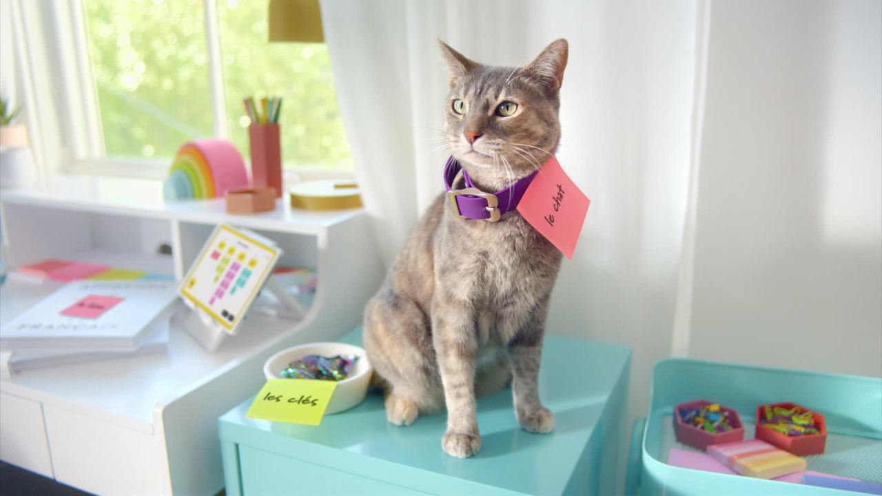 Post-it Super Sticky Notes, 12 Packs, Colored Supernova Neons ...