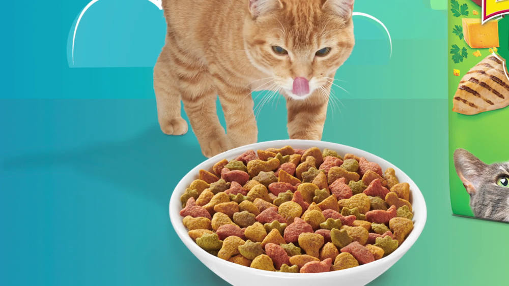 Friskies Indoor Delights Chicken & Salmon Dry Cat Food, 16 lb Bag ...