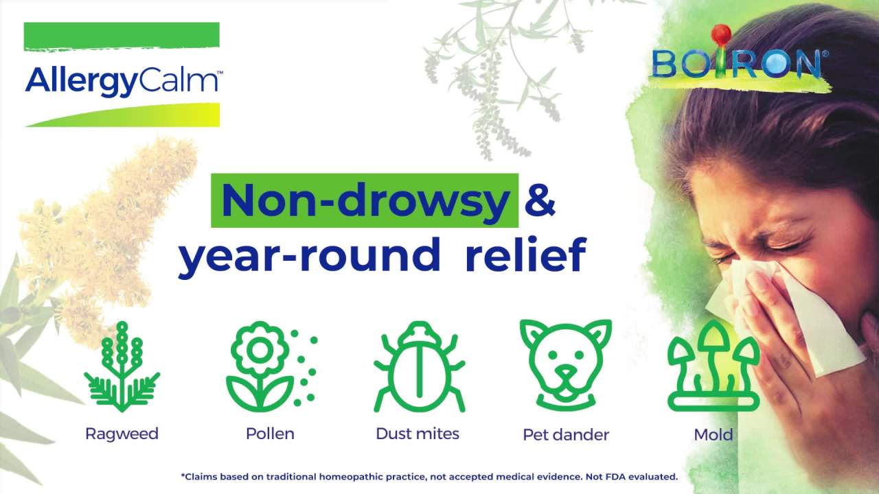Boiron AllergyCalm Kids Tablets, Homeopathic Medicine for Allergy ...