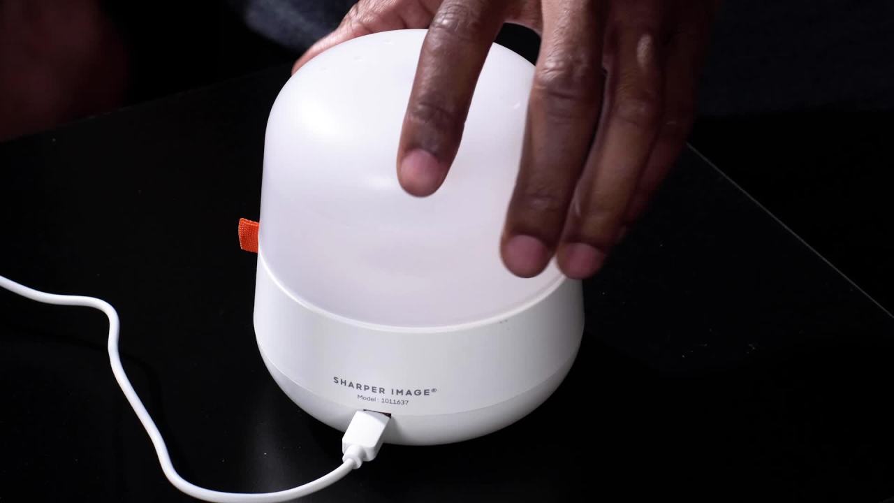 SHARPER IMAGE Travel Humidifier, USB or Battery Powered with 300mL Tank ...