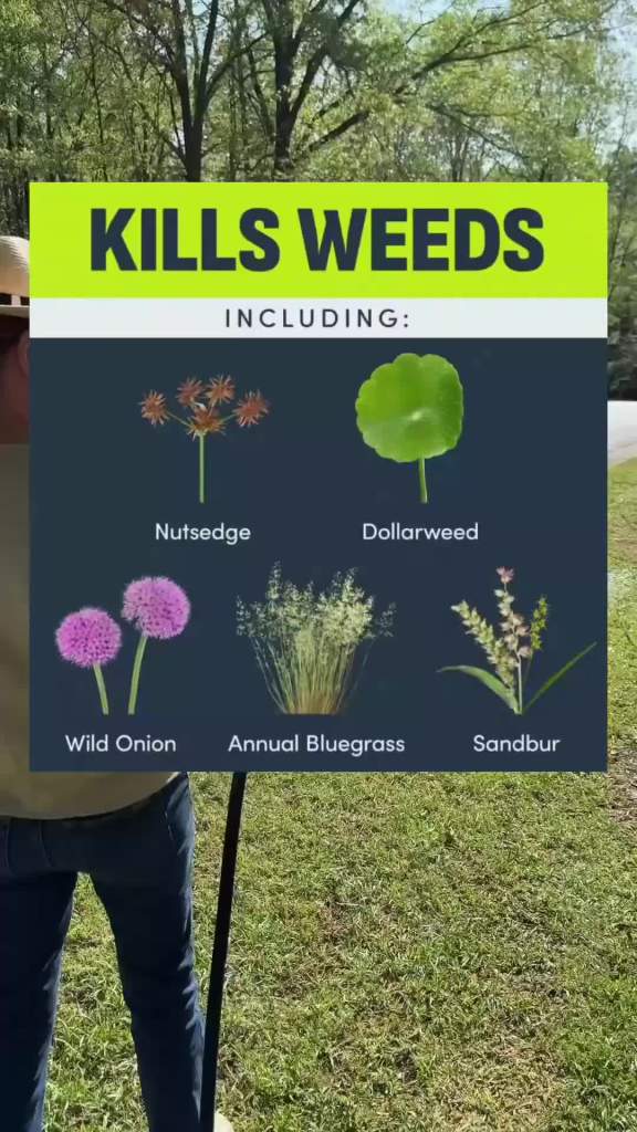 Image Kills Nutsedge Weed Killer Ready-to-Spray Herbicide, 32 oz ...