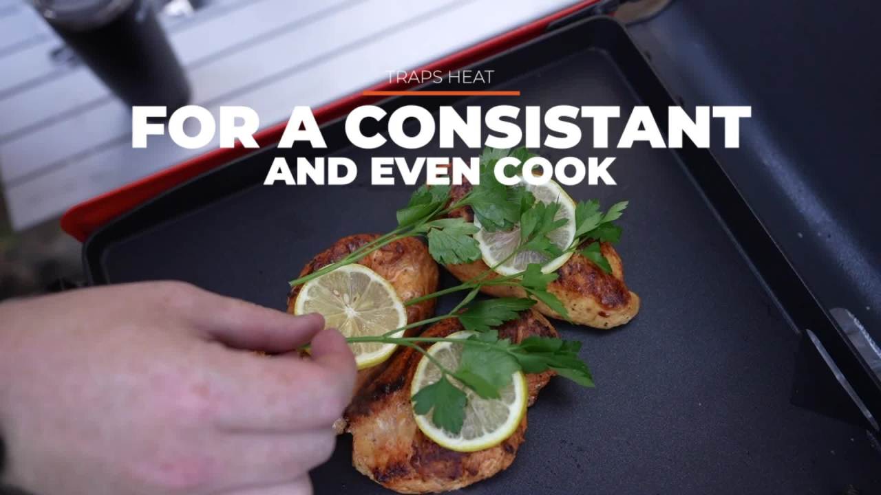 Black Stone Collapsible Basting Dome with Handle for Steaming and ...