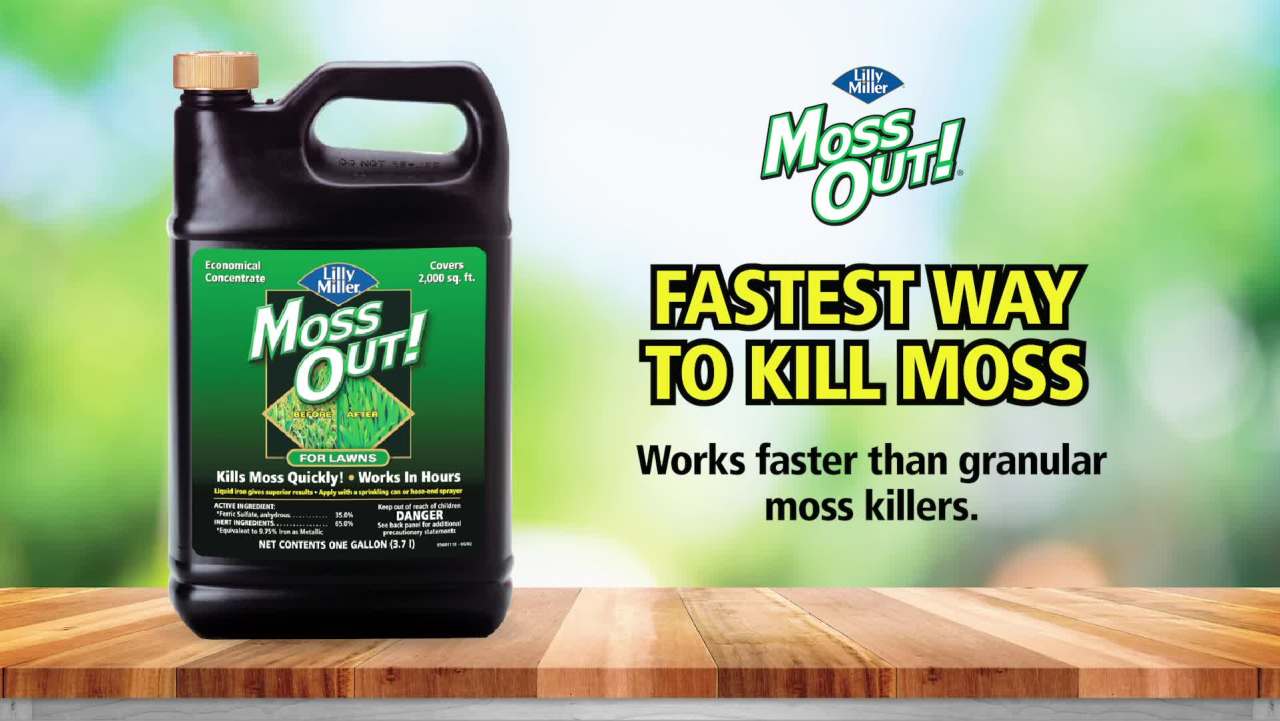 Lilly Miller Moss Out! Lawn Moss Killer Concentrate Herbicide, 1 Gallon ...