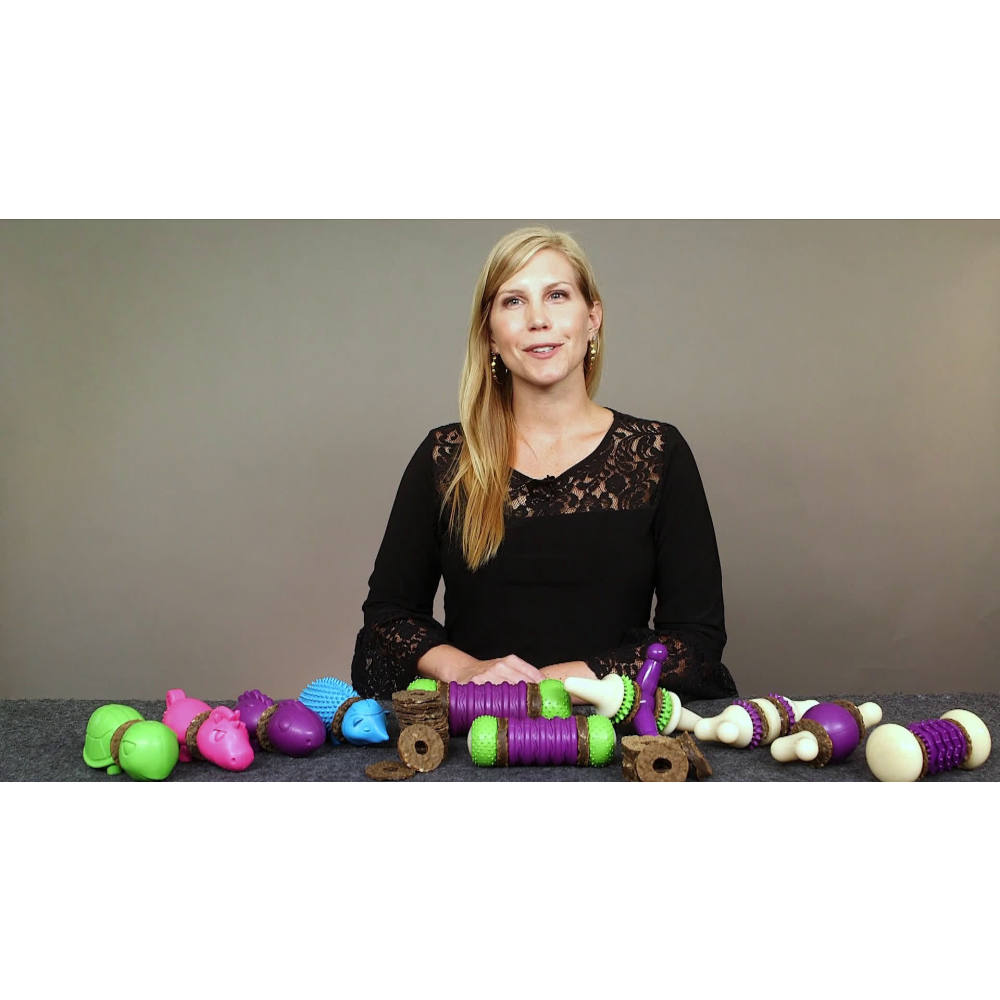 PetSafe Busy Buddy Bouncy Bone, 3-in-1 Dog Toy, Includes Treat Rings ...