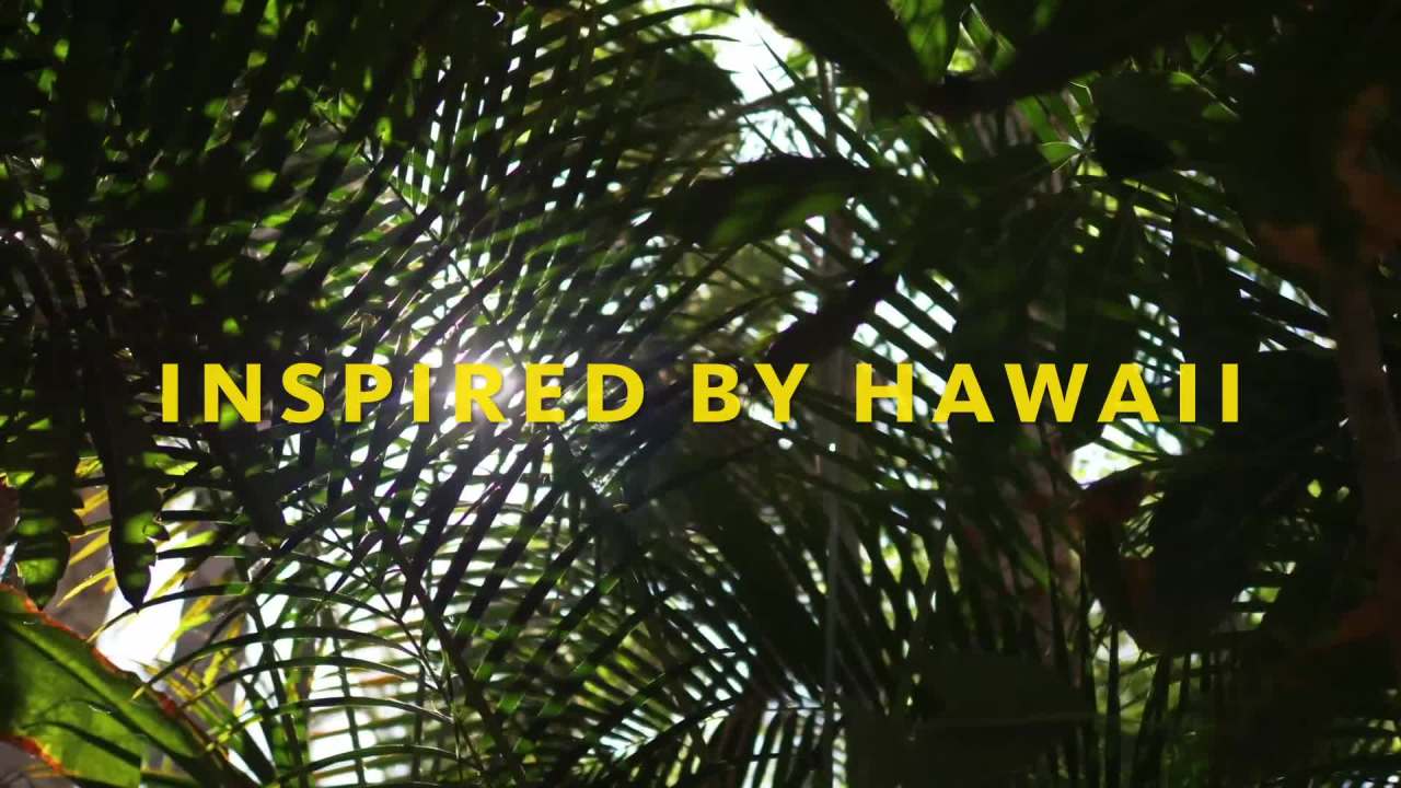 Kona Big Wave Liquid Aloha Golden Ale Beer 6 pack 12 fl oz Glass ...