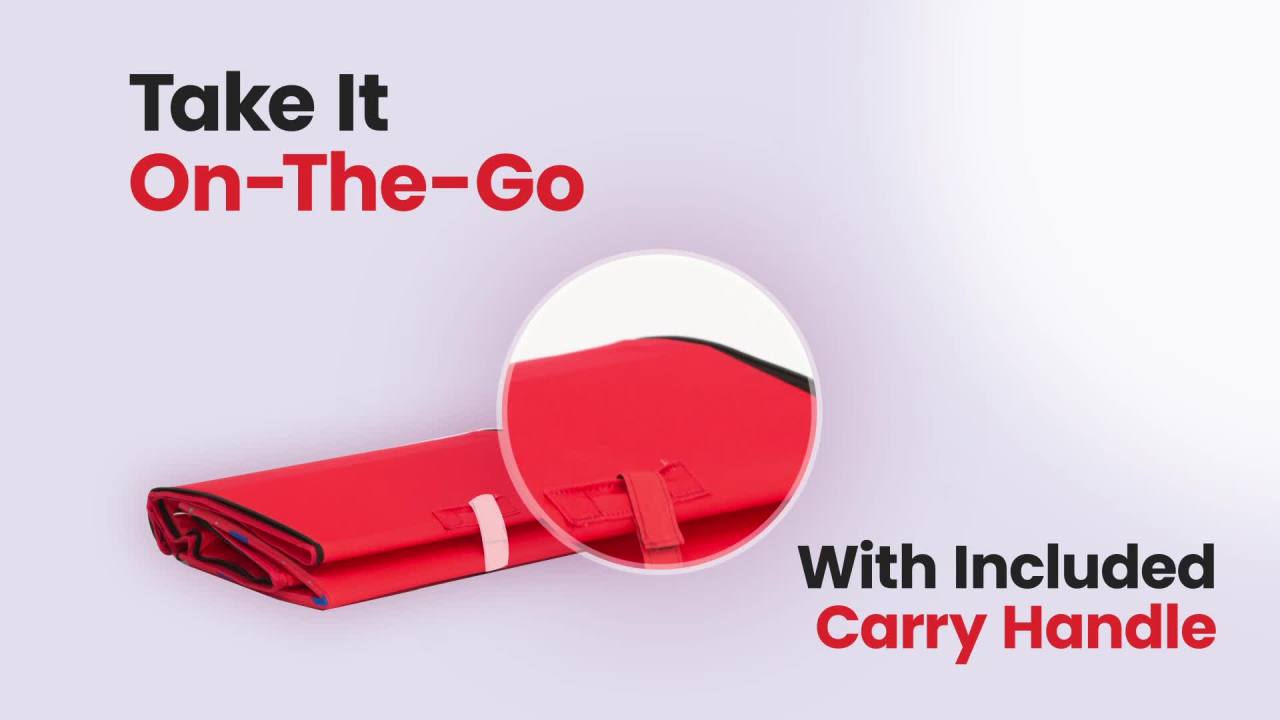 Free Shipping! Disney Sit N Play Portable Baby Activity Seat for ...