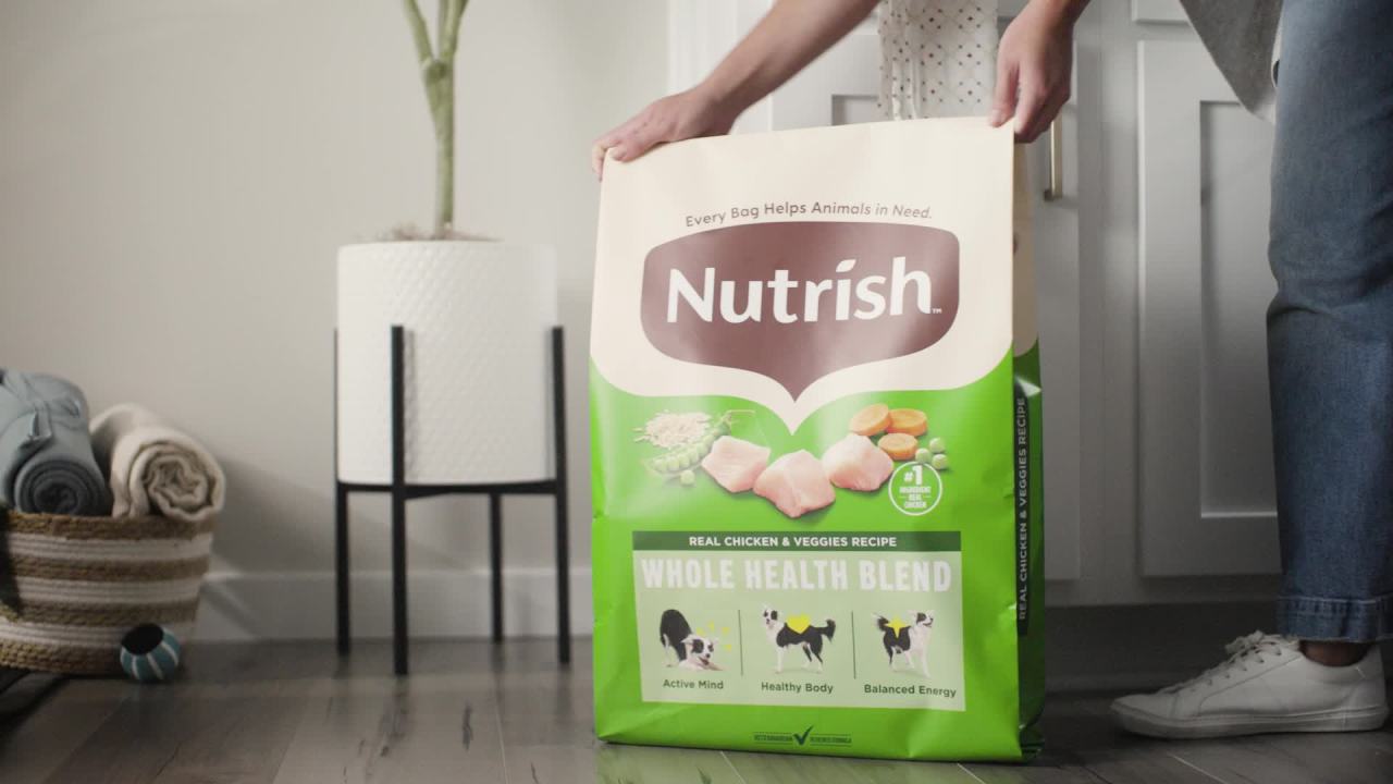 Nutrish Rachael Ray Soup Bones with Real Beef and Barley, Long-Lasting ...