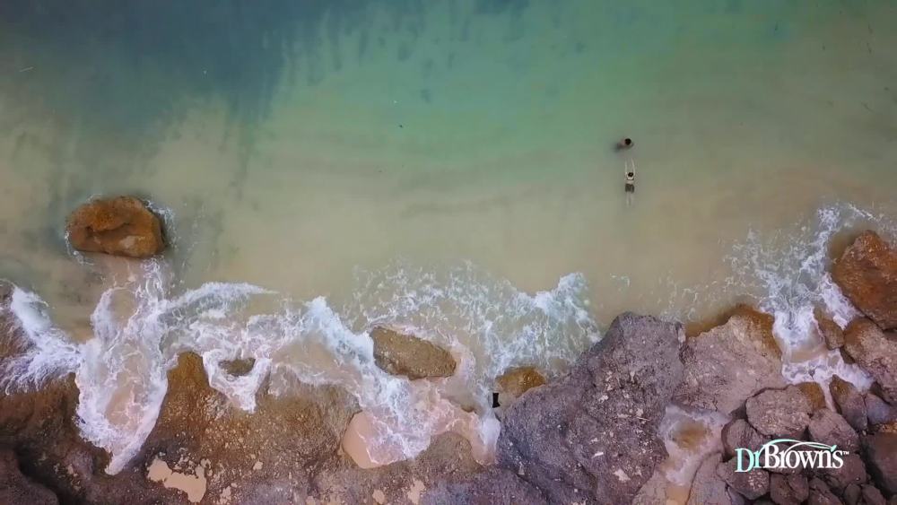 Dr. Brown's CleanUp Pour & Roar Watering Can Bath Toy, Baby Bath ...