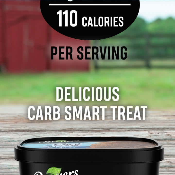 Breyers CarbSmart Chocolate Frozen Dairy Dessert Gluten-Free Kosher ...