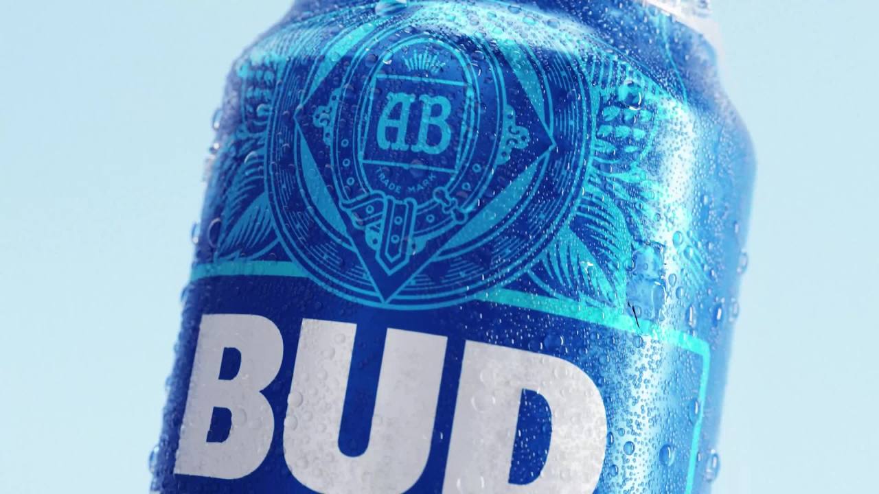 Bud Light American Light Lager Beer 24 Pack 12 fl oz Aluminum Cans 4.2% ...