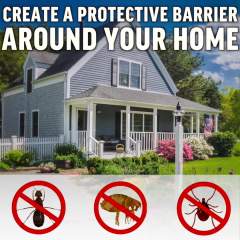 Amdro Quick Kill Home Perimeter Insect Killer Granules, 2 lbs Treats up ...