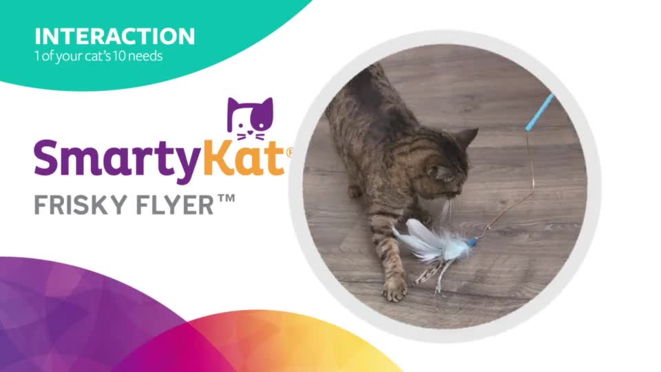 SmartyKat Frisky Flyer, Interactive Cat Toy, Extendable and Retractable ...