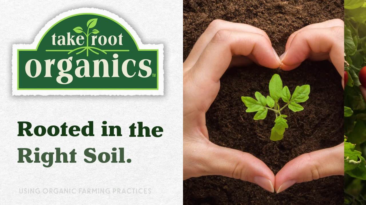 Take Root Organics Fresh & Ripe Diced Tomatoes, 14.5 oz., Can, USDA ...