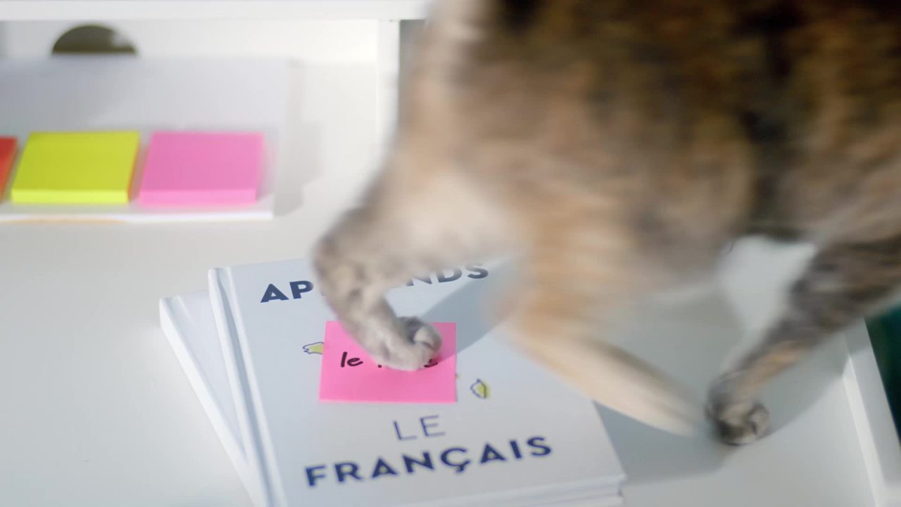 Post-it Sticky Notes, 3x3 inches, Canary Yellow, 16 Pads, Multipack ...