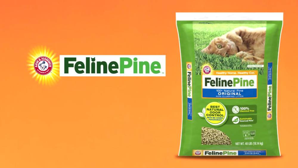 ARM & HAMMER Feline Pine Cat Litter, 100% Natural Pine, Powerful Odor ...