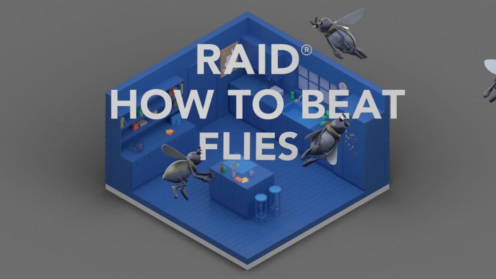 Raid Insect Killer, Multi Insect 7, 15 oz - Walmart.com