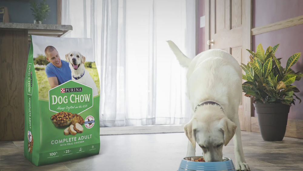 Purina Dog Chow Dry Dog Food, Complete Adult Chicken Flavor, 55 lb. Bag - Walmart.com