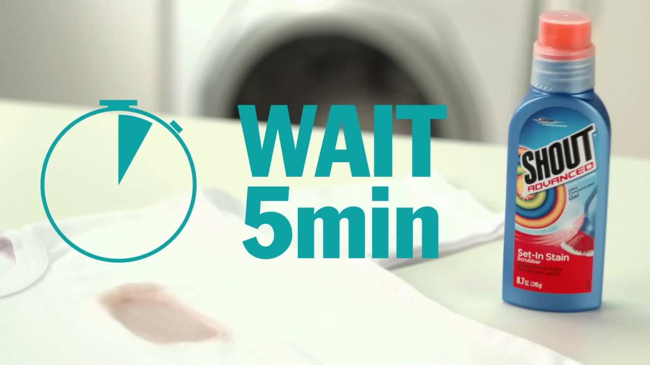 Free Shipping! Shout Stain Remover Gel Brush 8.7 oz, Ultra Concentrated ...